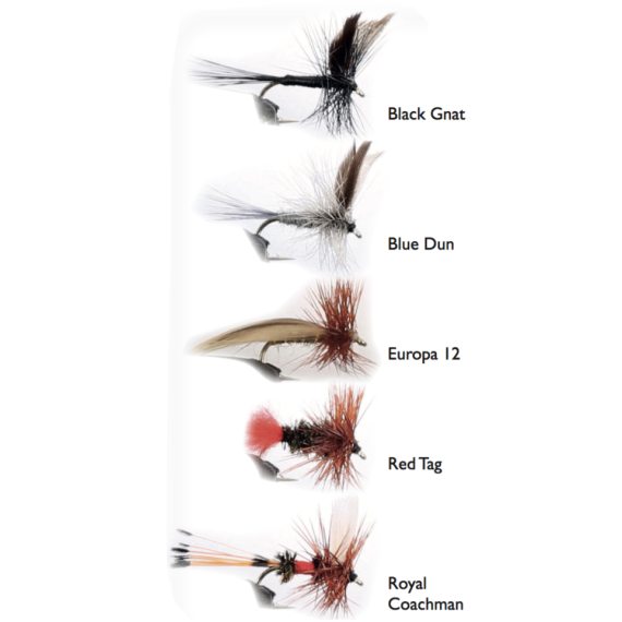 Dry Fly 1 5-pack | Sportfiskeprylar.se