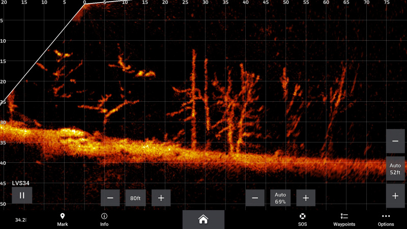 Garmin Panoptix LiveScope Plus LVS 34 System | Sportfiskeprylar.se