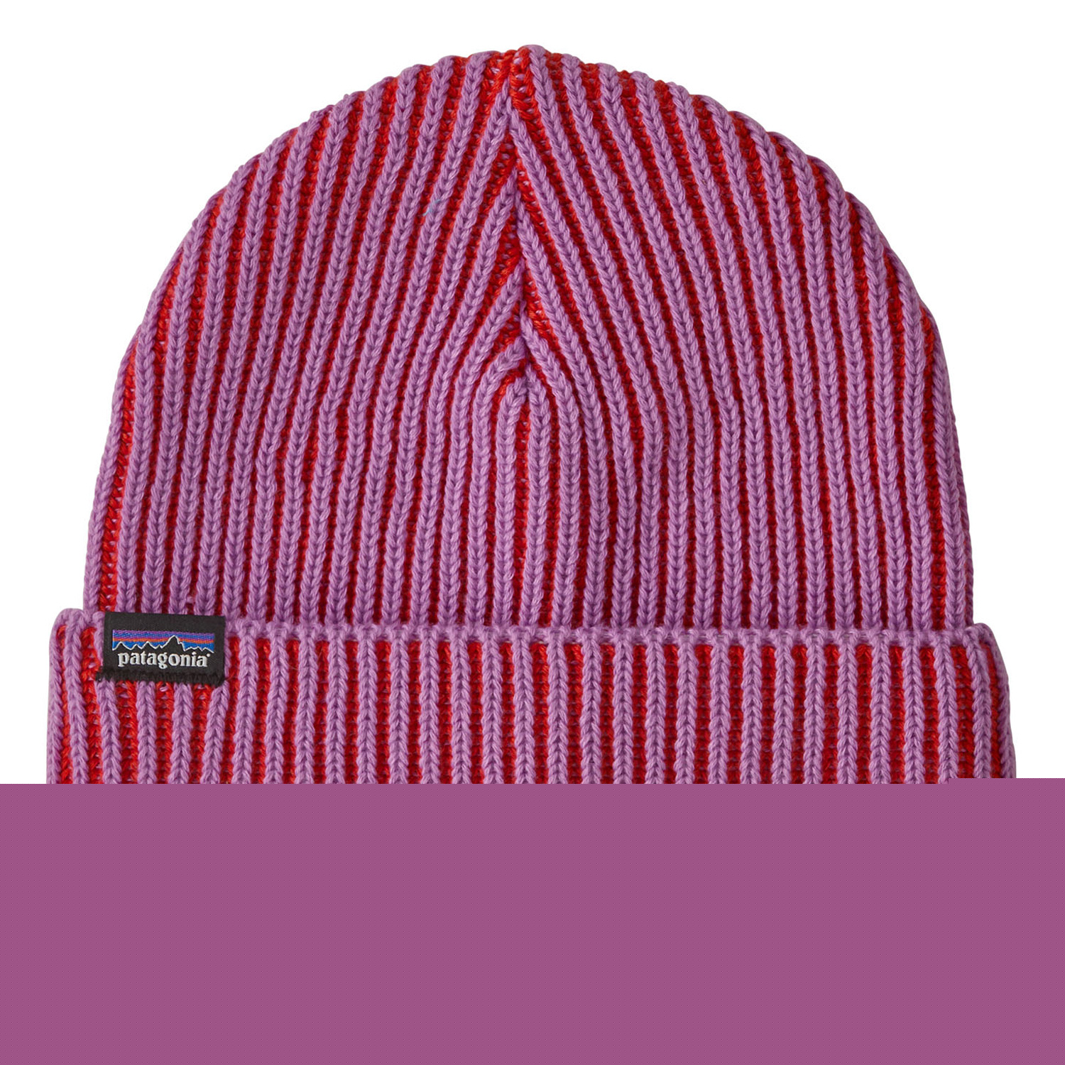 Patagonia Fishermans Rolled Beanie CEBP | Sportfiskeprylar.se